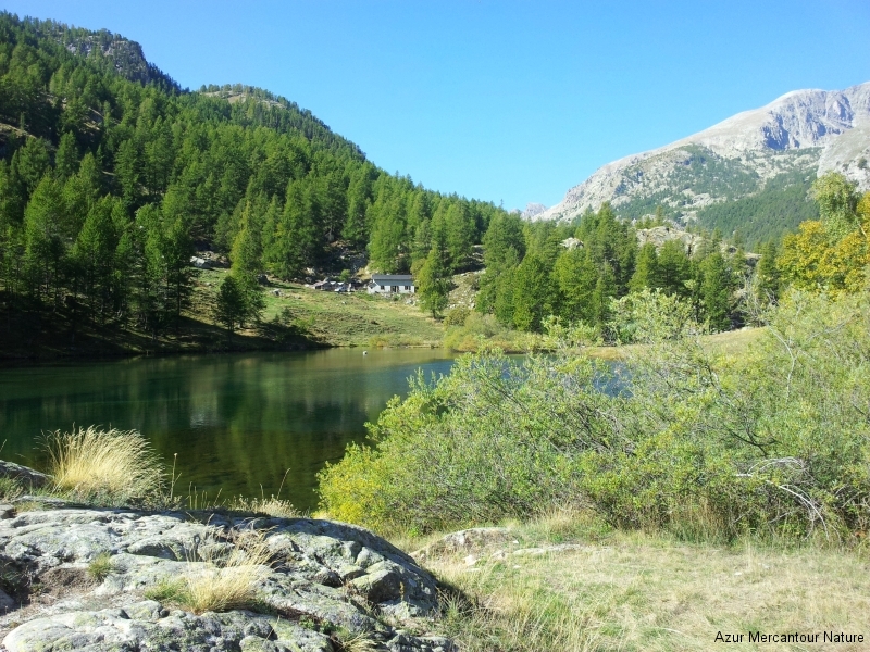 La Gordolasque - Circuit de la zone de l'Arpette - AZUR MERCANTOUR NATURE